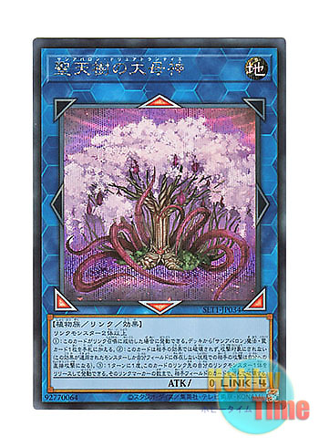 日本語版 SLT1-JP034 Sunavalon Dryatrentiay 聖天樹の大母神 (シークレットレア)